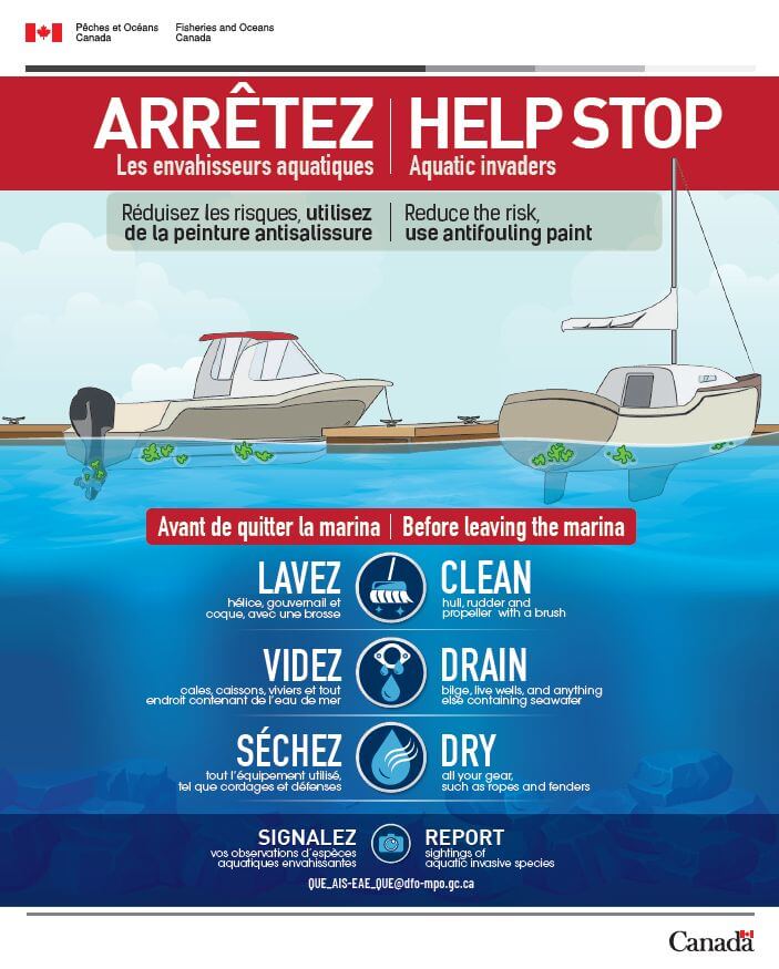 Espèces aquatiques envahissantes au Québec